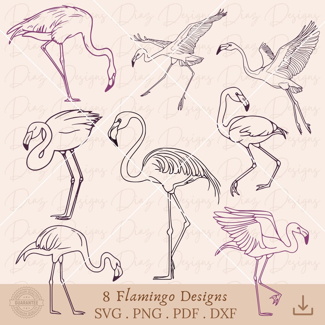 Flamingo Svg, Flamingo Positions Png, Flamingo Cut File, Summer ...