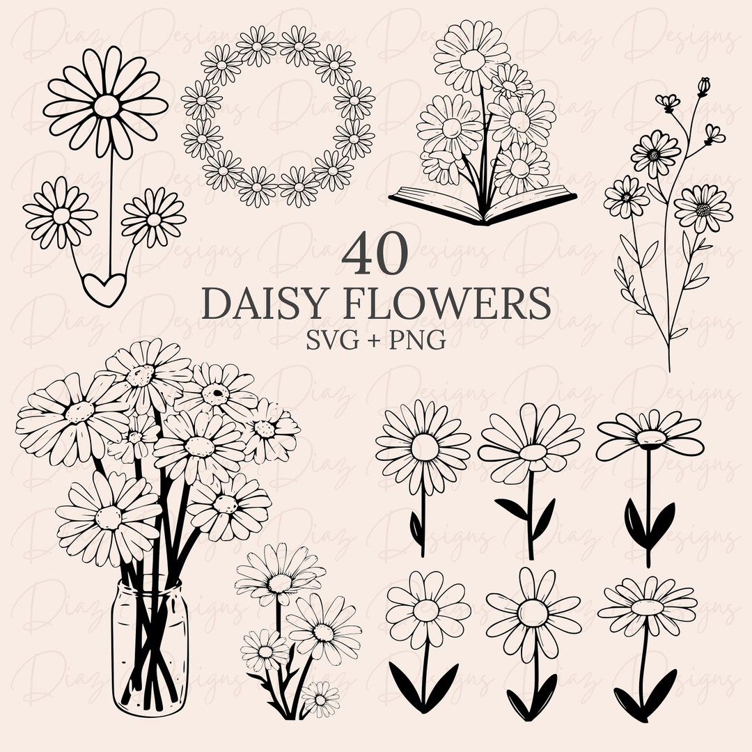 Daisy Svg, Daisy Flower Clipart, Daisy Flower Png, Floral Bundle Svg ...