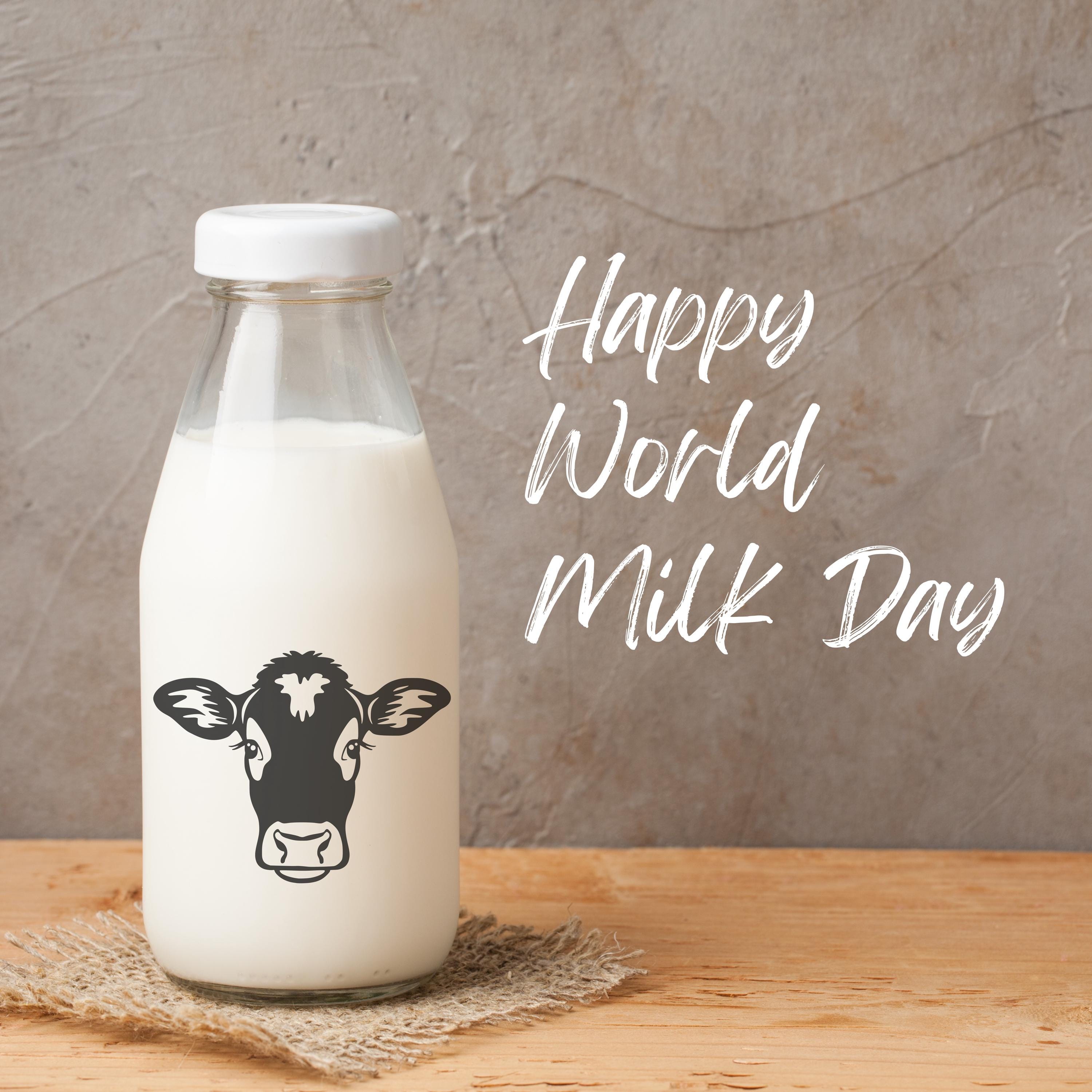 Baby Cow Face Svg, Cow Head Clipart, Cute Cow Cricut, Cow Heifer Png ...