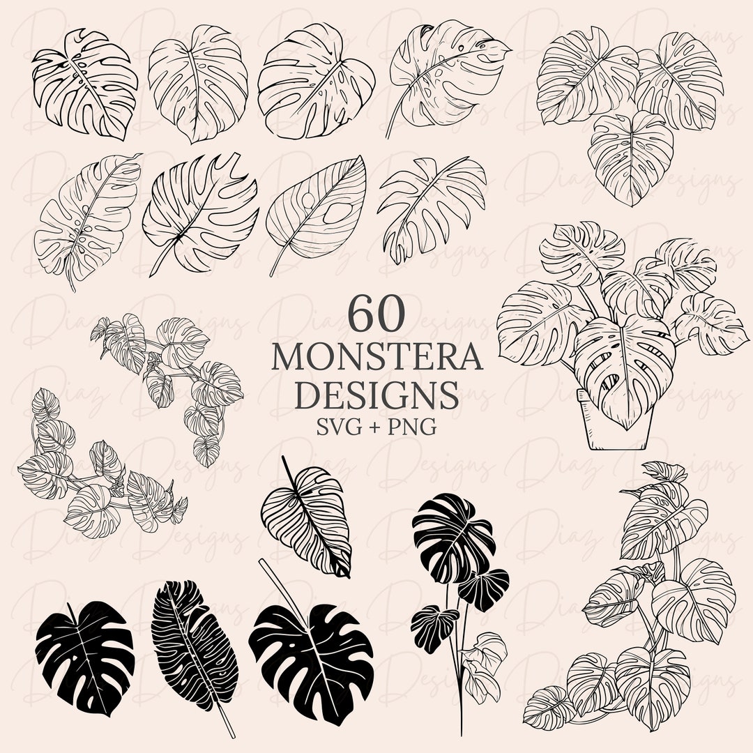 Monstera Svg Bundle, Monstera Plant Svg, Monstera Clipart, Monstera Cut ...