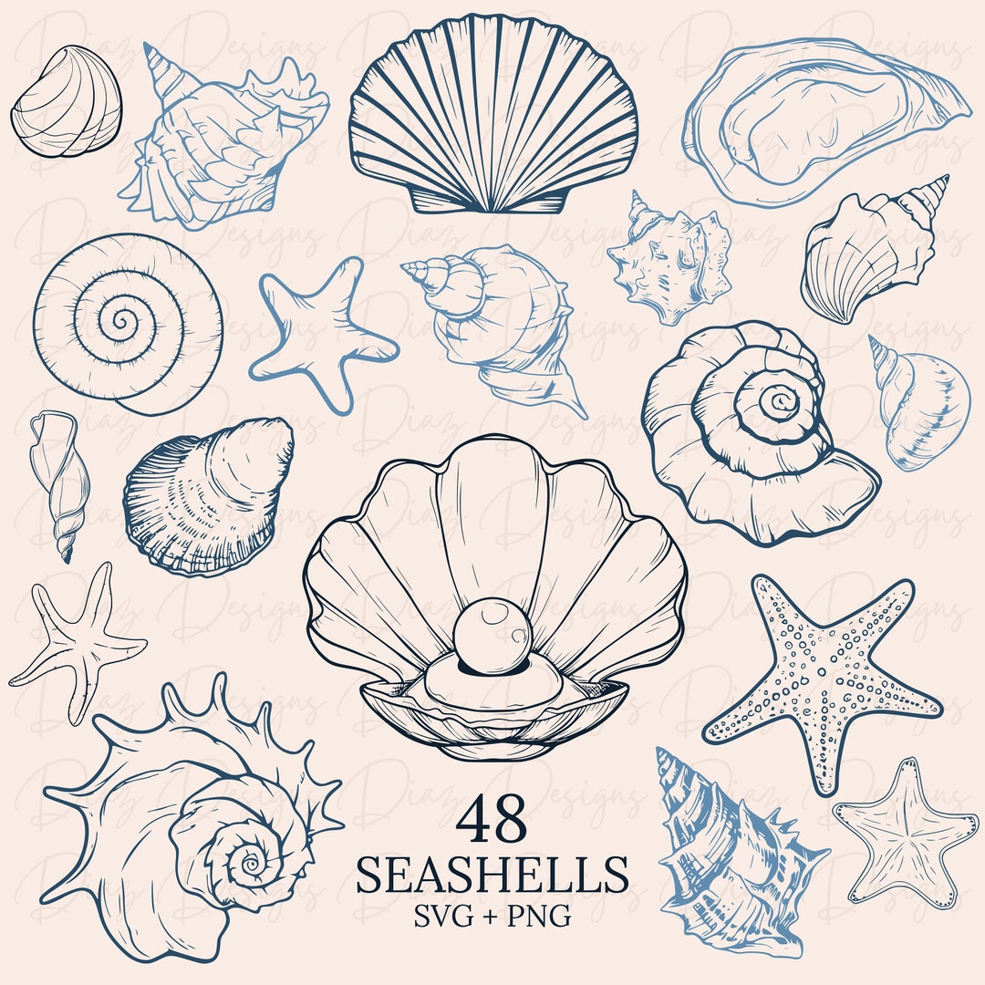 Seashell Bundle Svg, Seashell Png, Seashell Svg, Seashell Clipart ...