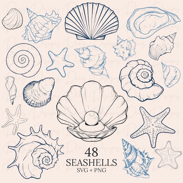 Seashell Drawings - Etsy