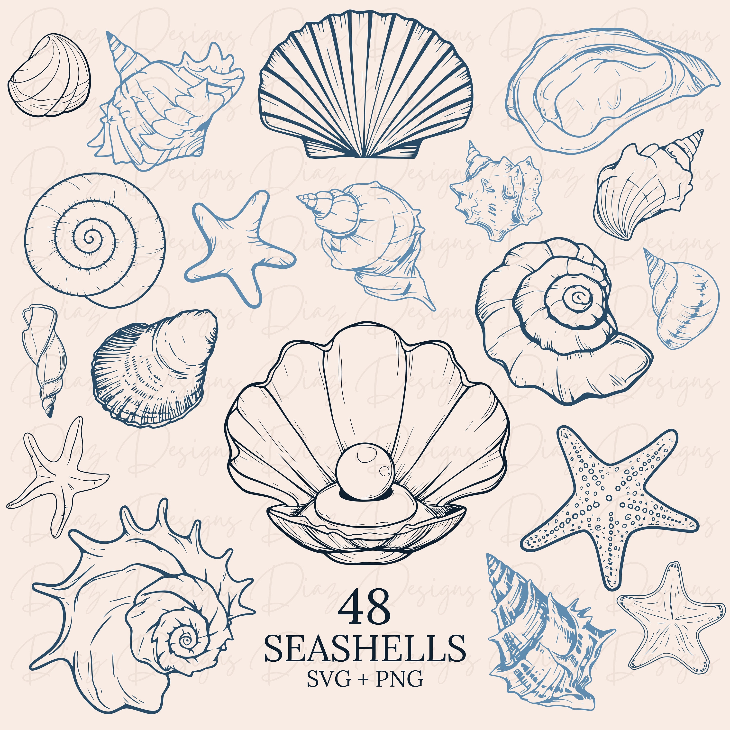 Seashell Bundle Svg, Seashell Png, Seashell Svg, Seashell Clipart ...