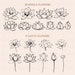 Lotus Flower Bundle Svg, Lotus Flower Clipart, Lotus Svg Cricut, Lotus ...