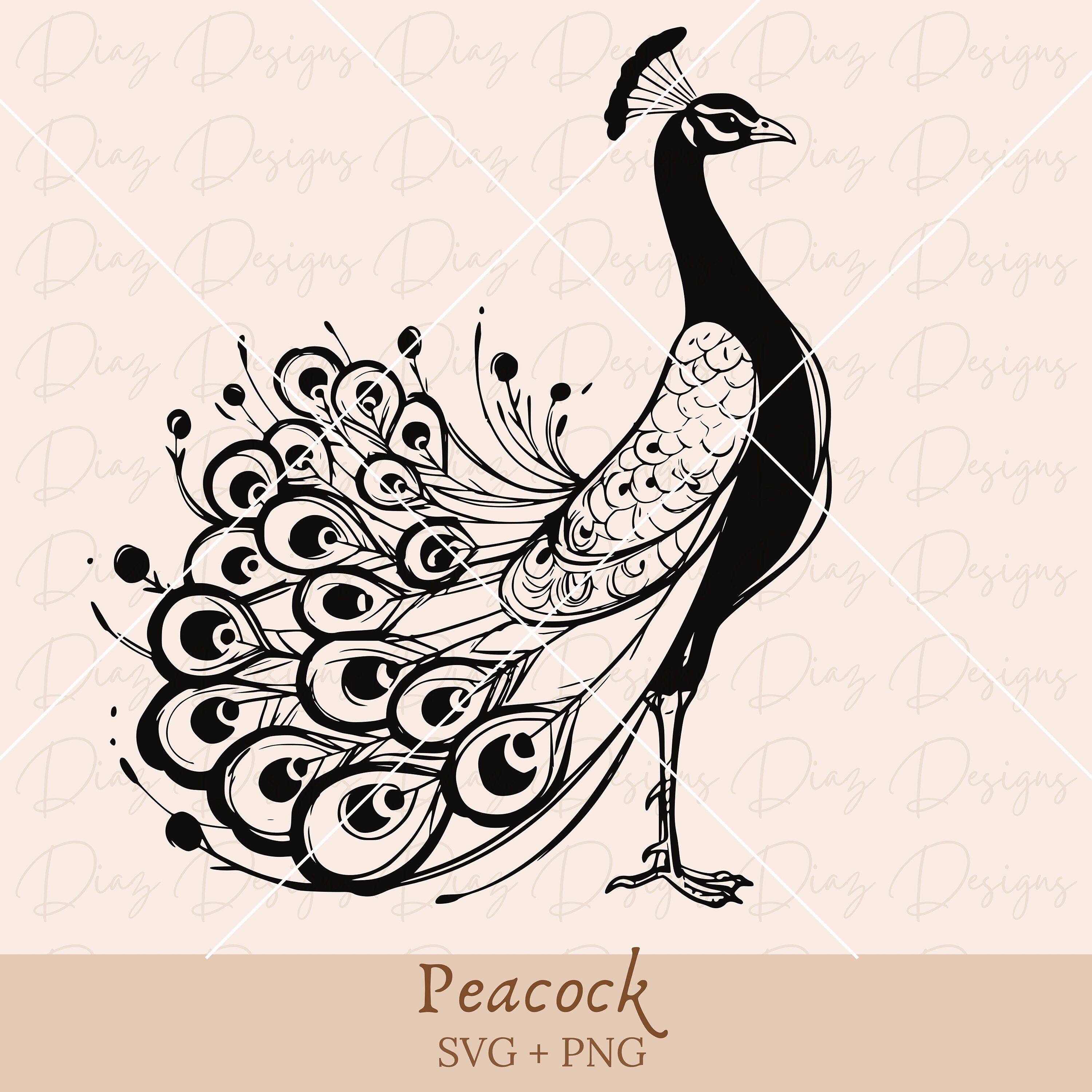 Pavo real svg, pavo real clipart, archivo corte pavo real cricut, pavo ...