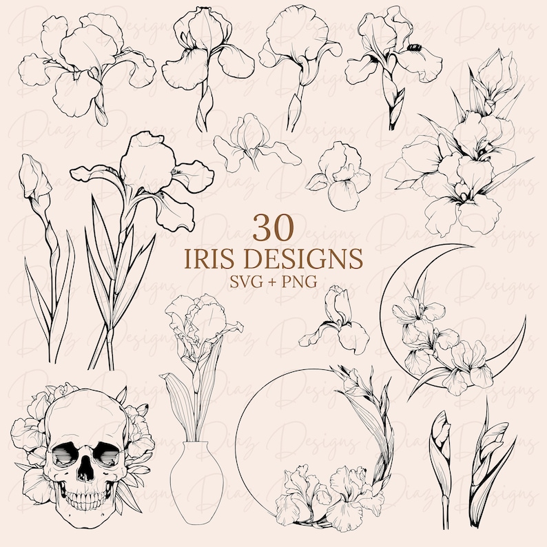 Iris Svg Bundle, Iris Flower Svg, Iris Line Art, Iris Cut File, Iris ...