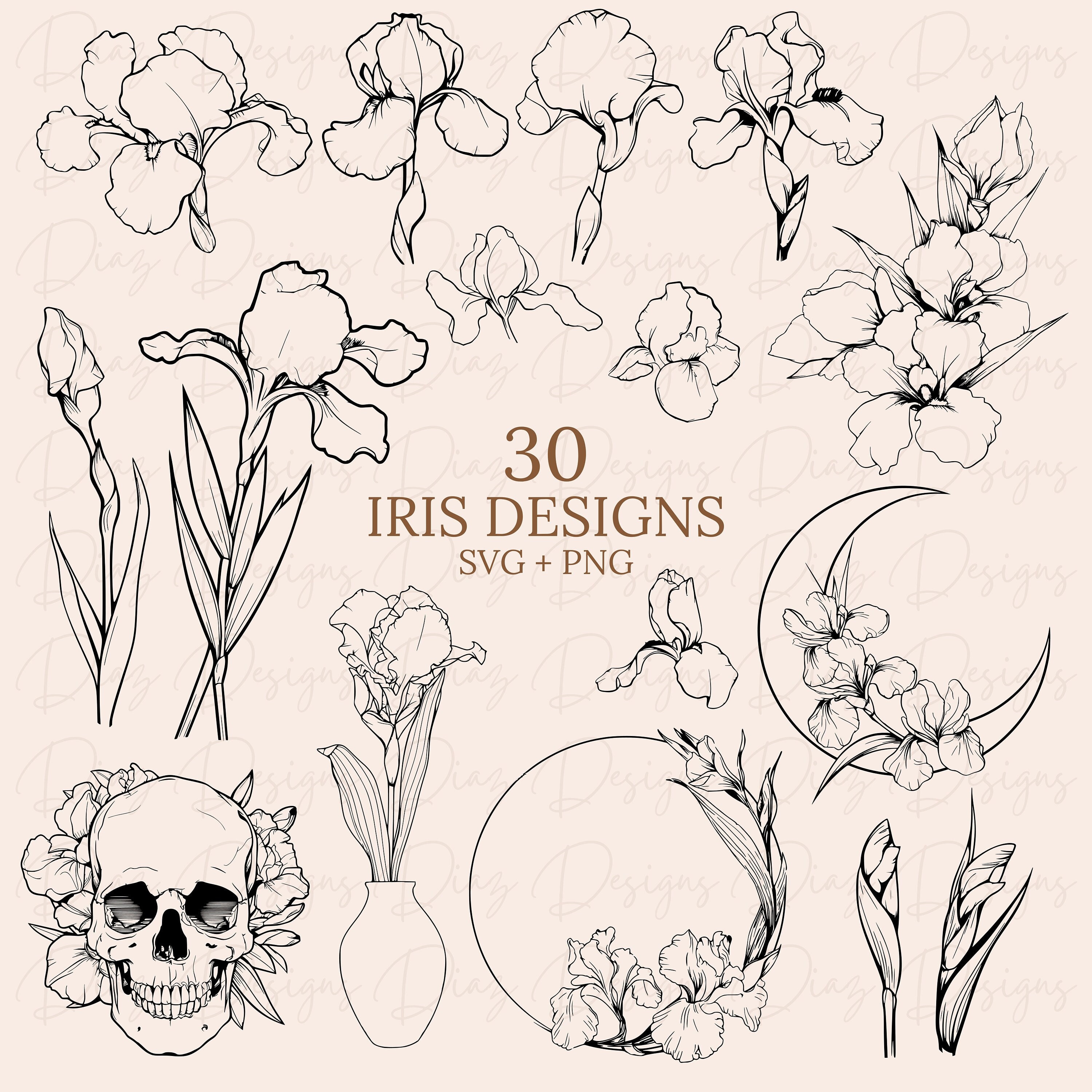 Iris Svg Bundle, Iris Flower Svg, Iris Line Art, Iris Cut File, Iris ...