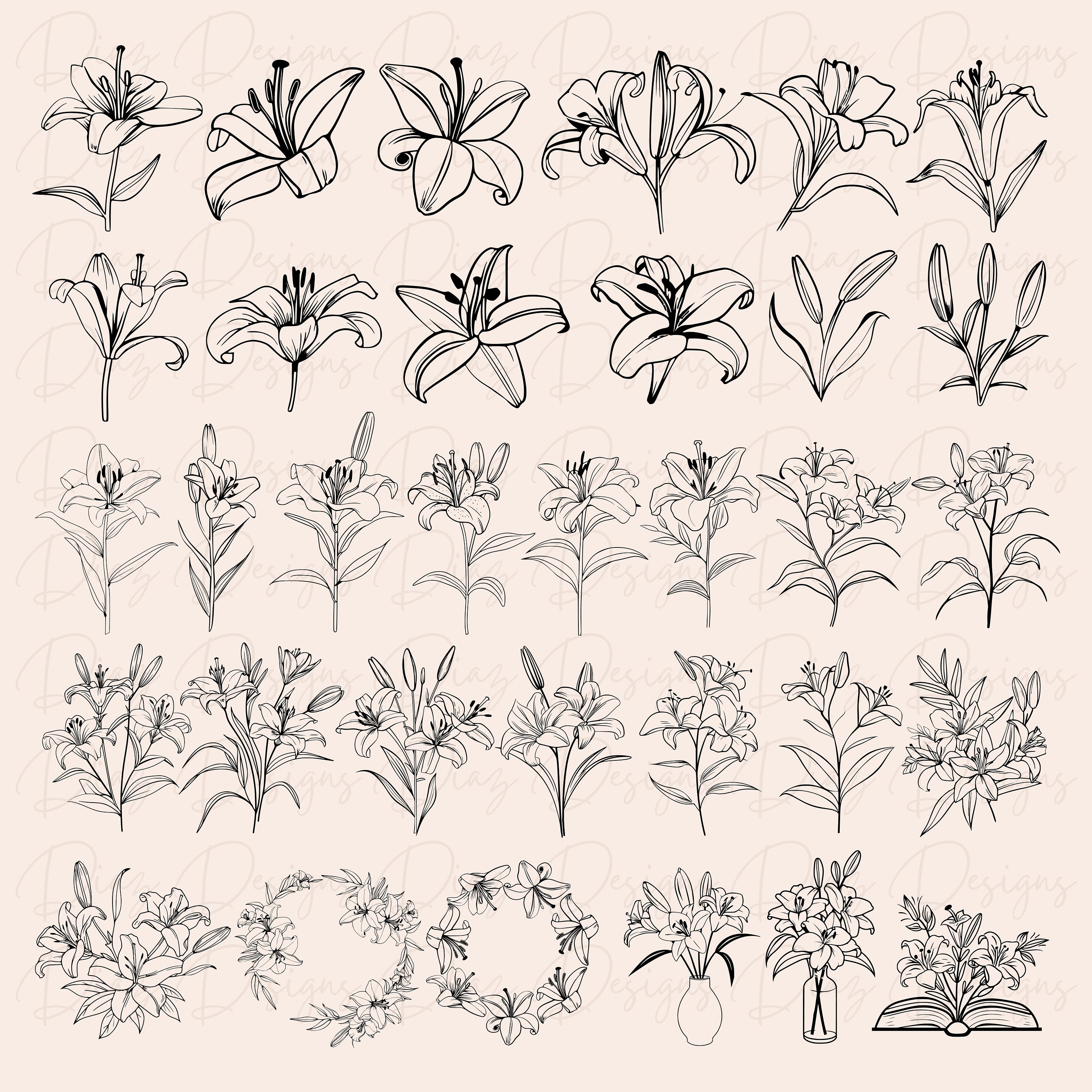 Lily Flowers Svg, Lilies Svg, Lily Wreath Svg, Lily Svg Bundle, Lily ...