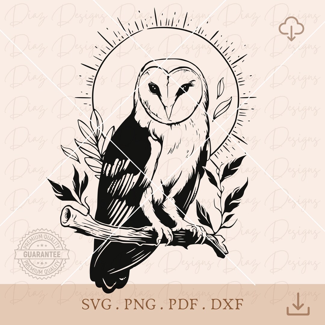 Owl Svg Cut File, Barn Owl Clipart, Owl Bird Vector, Owl Cricut, Owl ...
