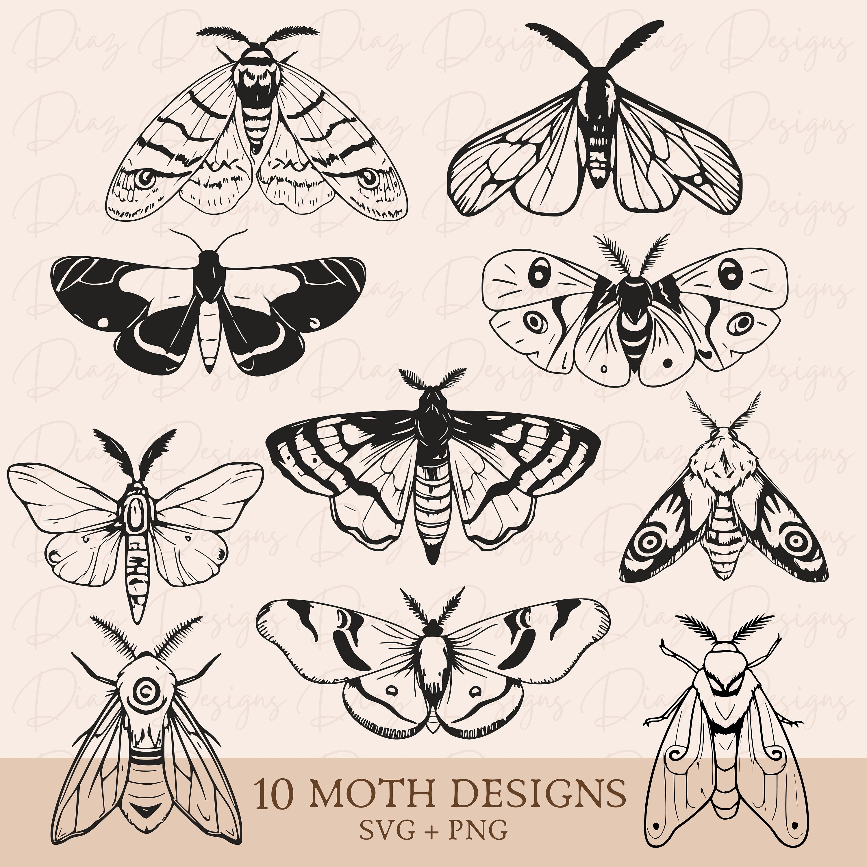 Moth Svg Bundle, Celestial Moth Svg, Mystical Moth Svg, Witch Moth Png ...