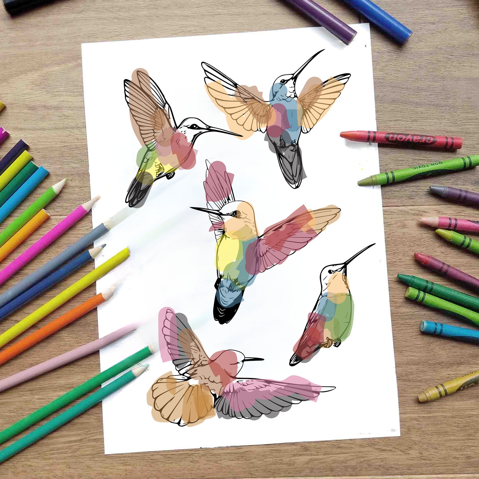 Hummingbird Svg, Hummingbird Cut File, Bird Svg File, Hummingbird Png ...