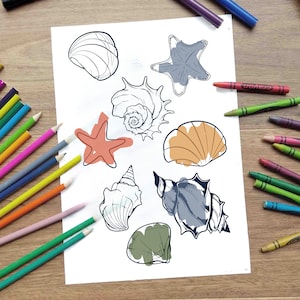 Seashell Bundle Svg, Seashell Png, Seashell Svg, Seashell Clipart ...