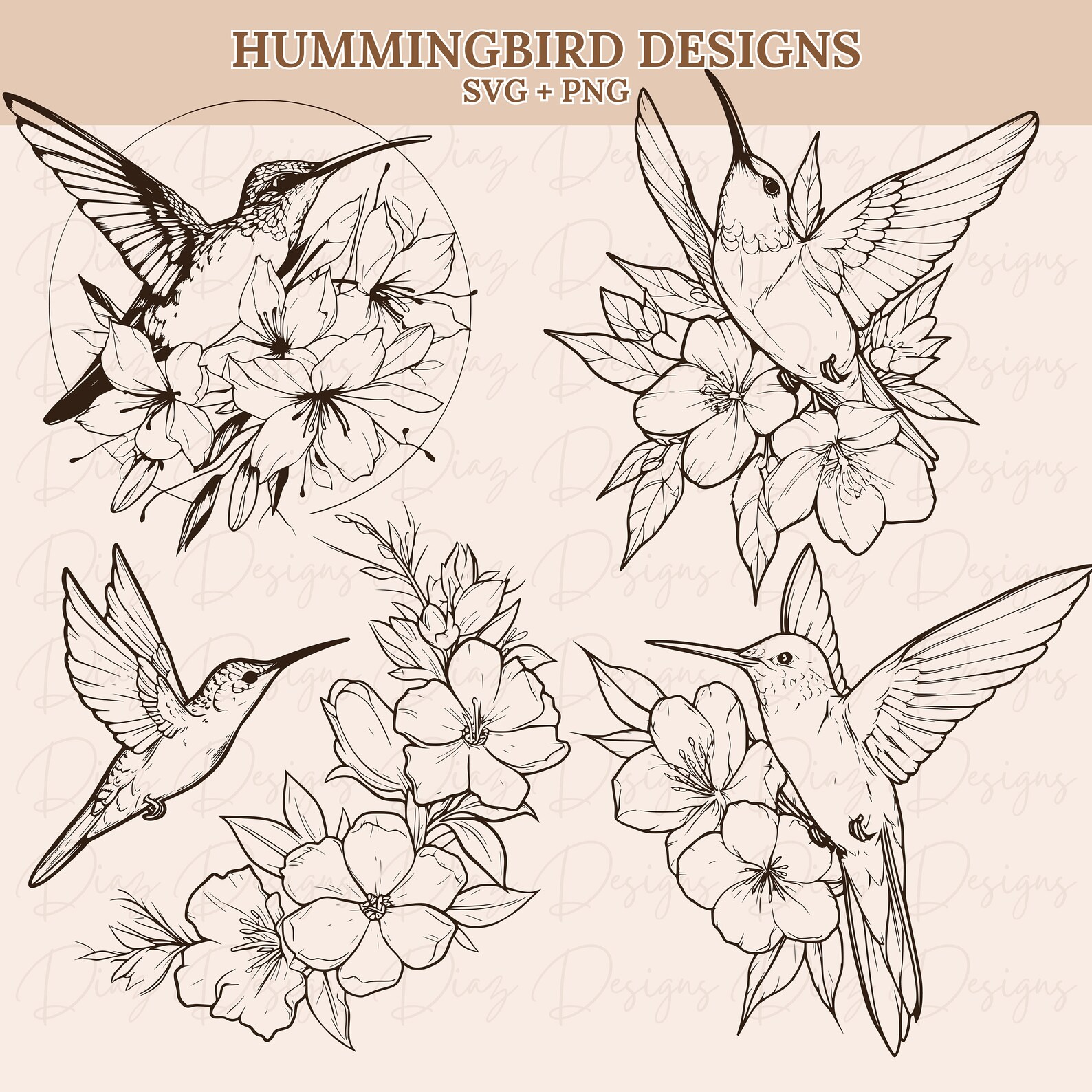 Hummingbird Svg, Hummingbird Cut File, Bird Svg File, Hummingbird ...