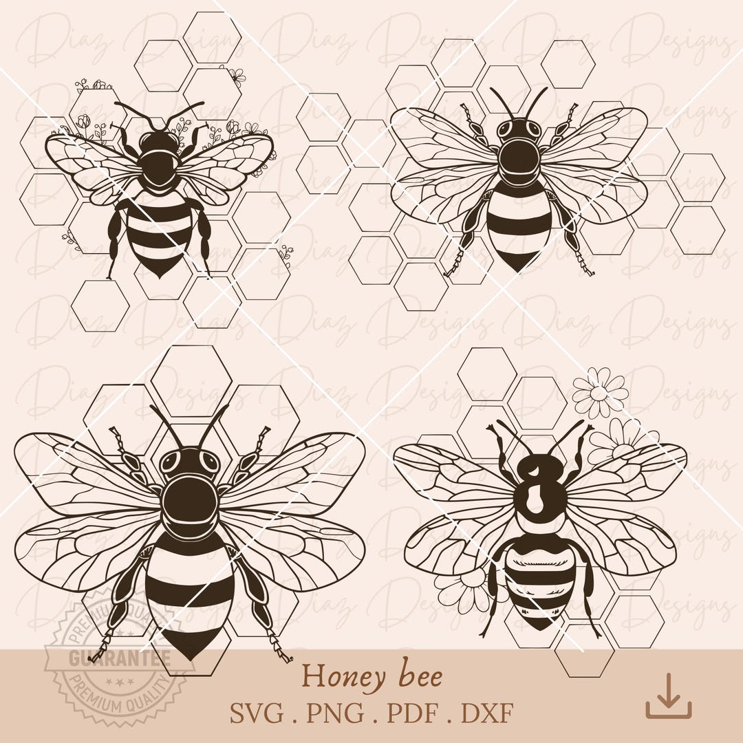 Honey Bee Svg File, Honeycomb Bee Png, Flower Bee Clipart, Bumble Bee Png, Queen Bee Svg, Floral ...