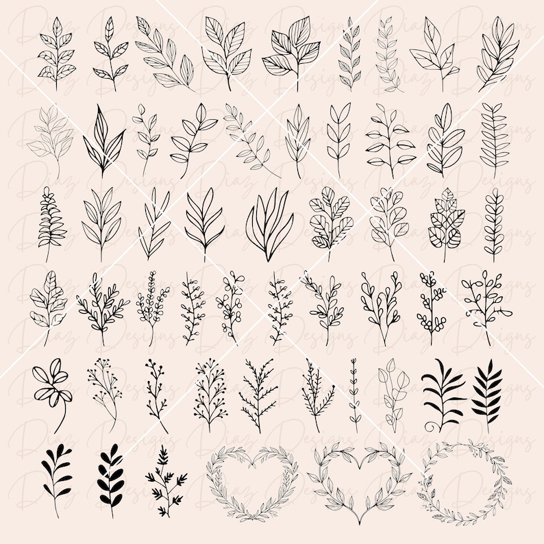 Hojas svg, rama svg, vegetación svg, borde hoja svg, hojas vector ...