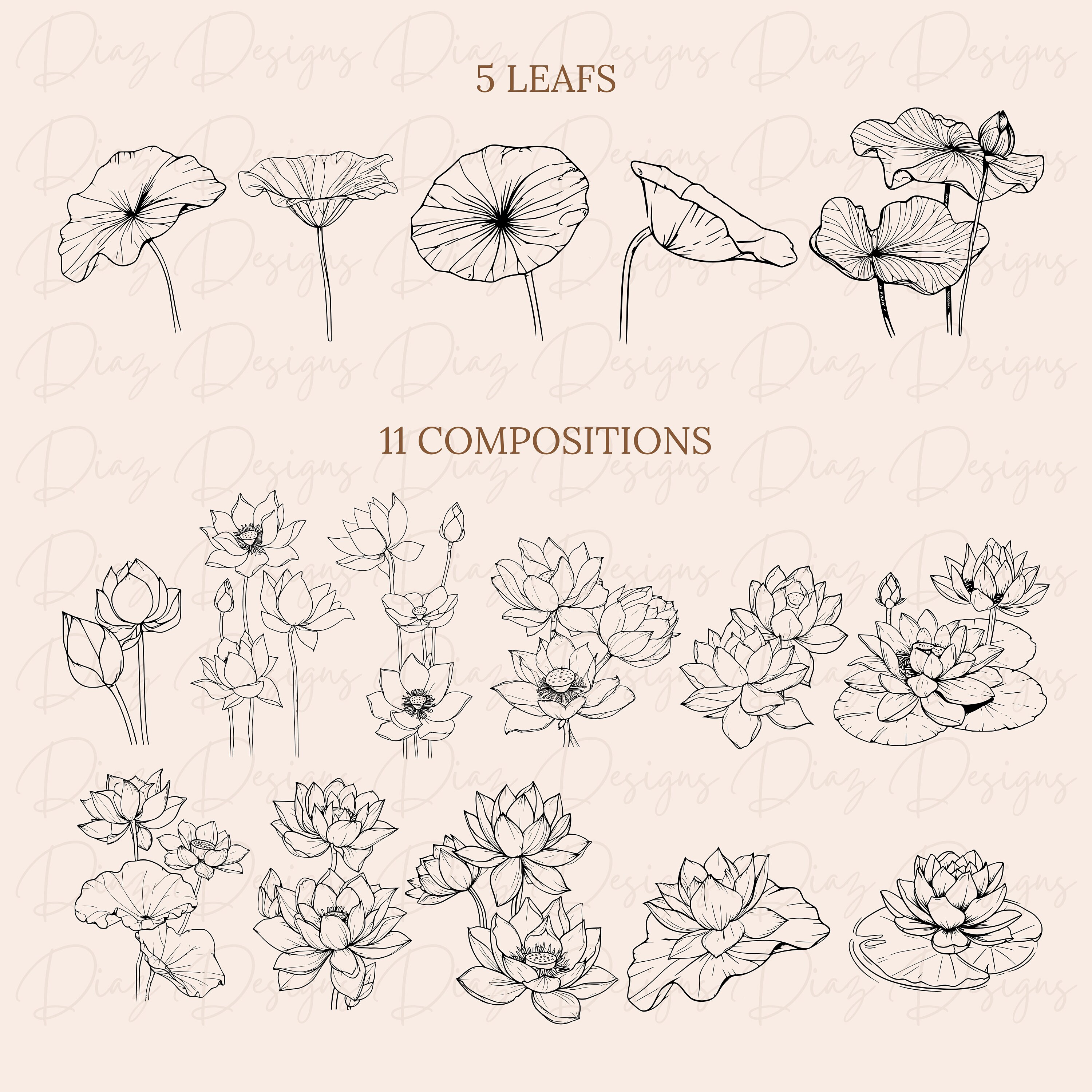 Lotus Flower Bundle Svg, Lotus Flower Clipart, Lotus Svg Cricut, Lotus ...