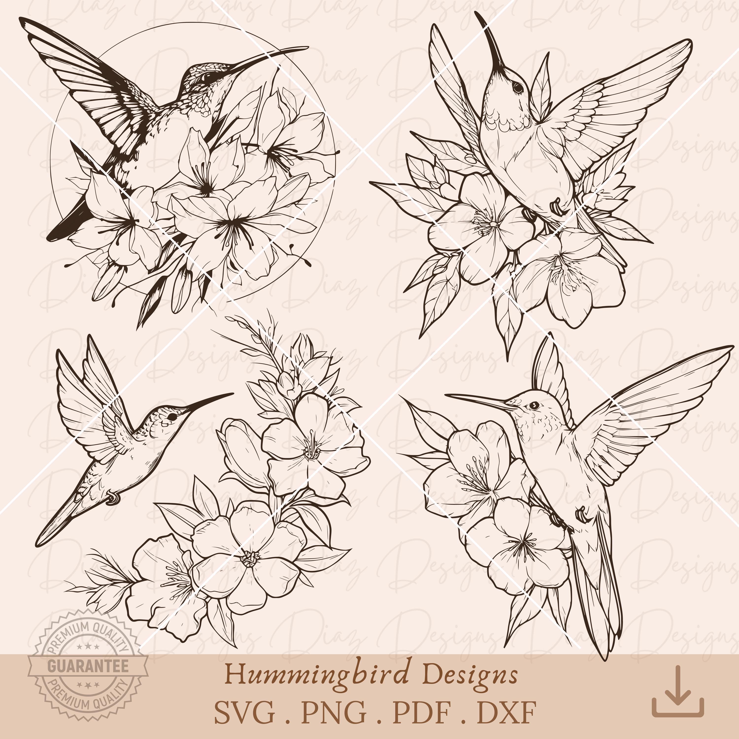 Hummingbird Svg, Hummingbird Cut File, Bird Svg File, Hummingbird ...