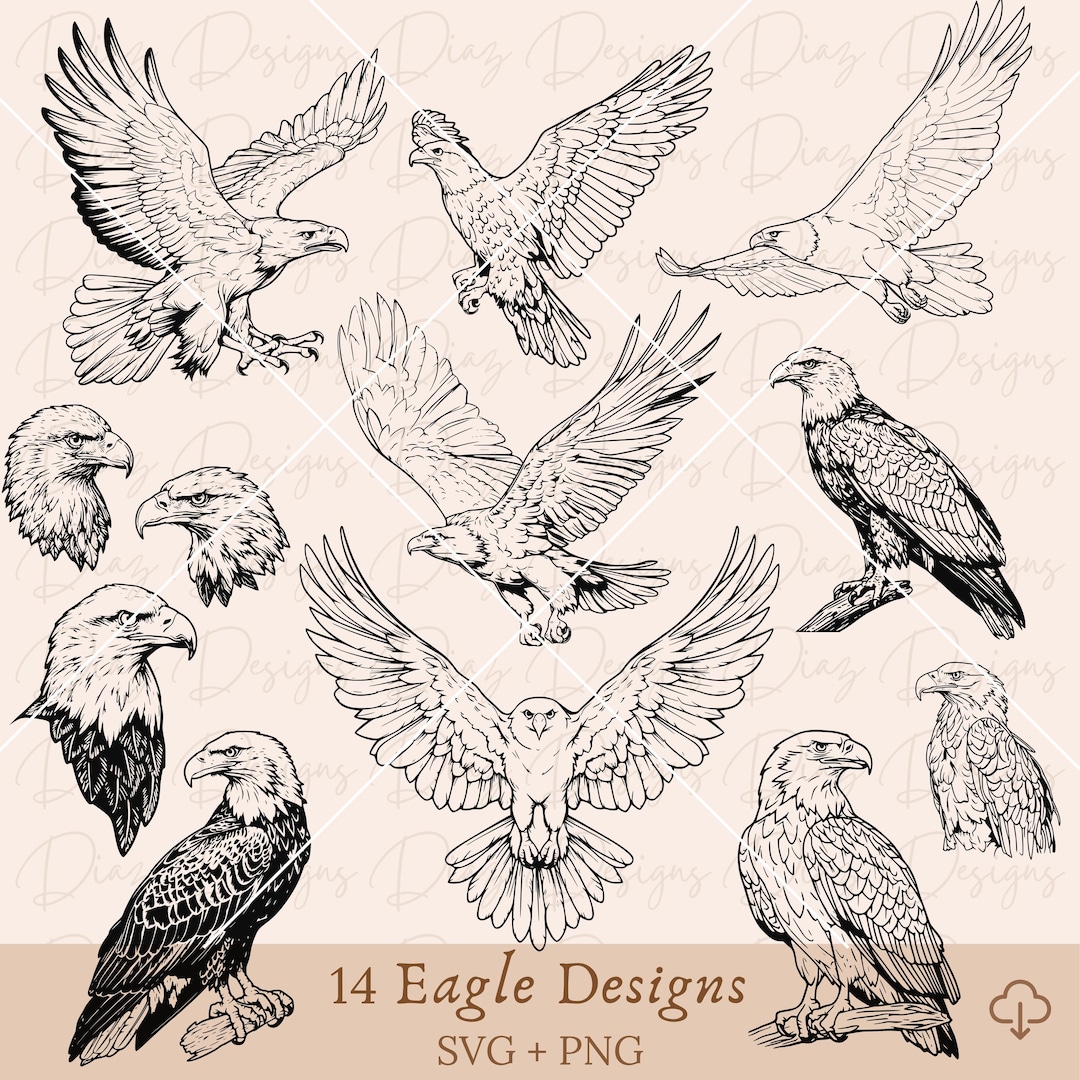 Flying Eagle Svg, Eagle Png, American Eagle Svg, Bald Eagle Cut File ...