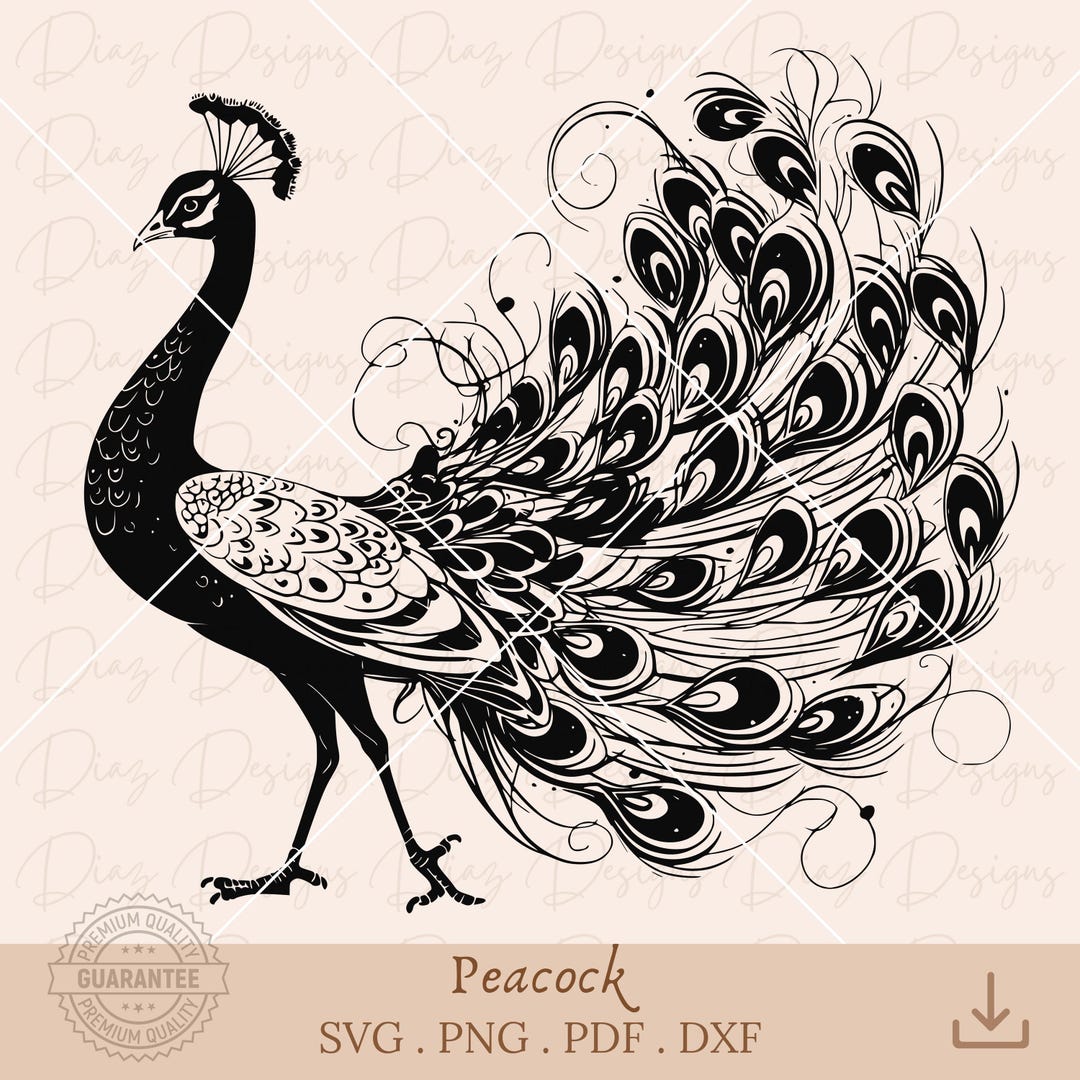 Peacock Svg, Peacock Clipart, Peacock Cut Files Cricut, Peacock Png ...