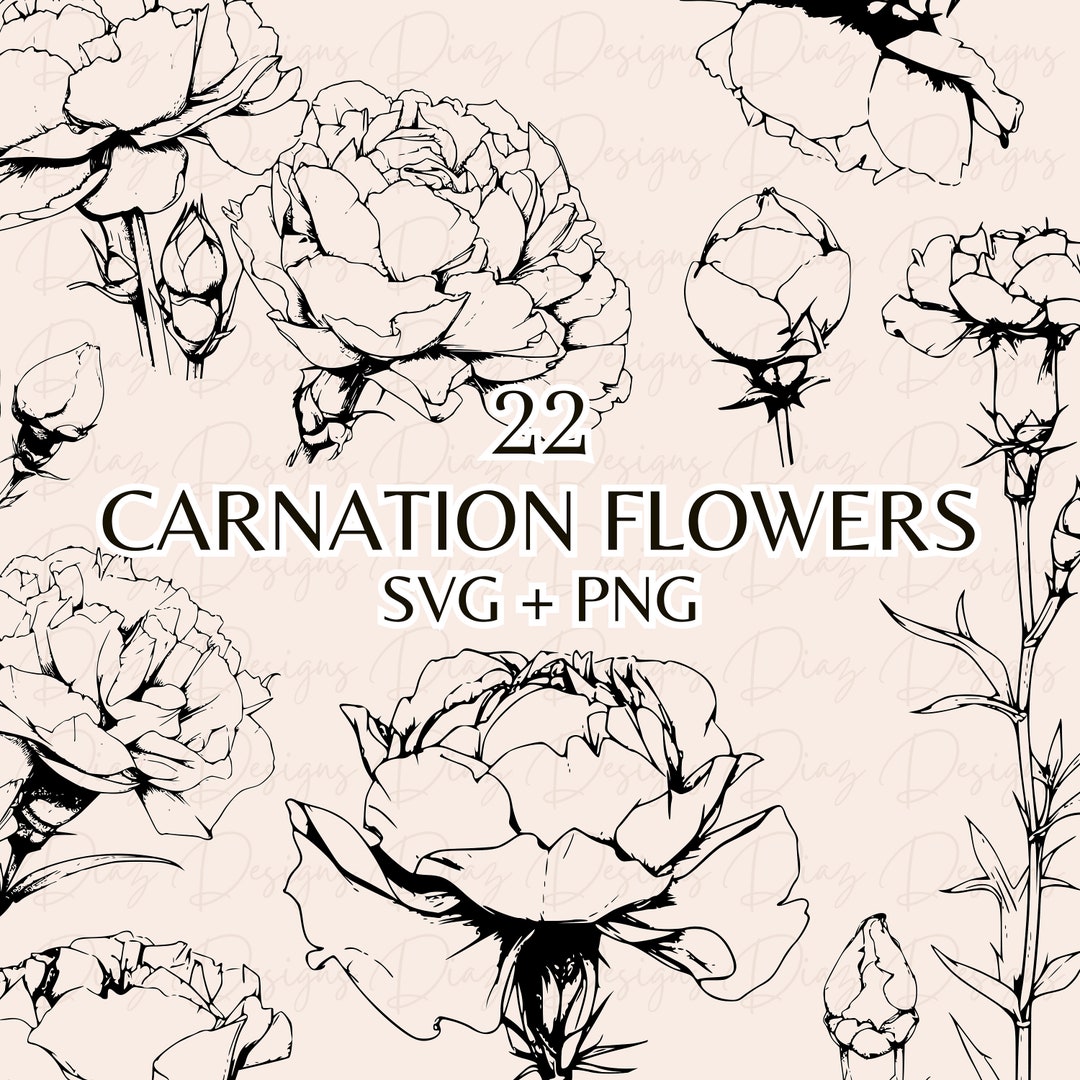 Carnation Flower Svg Bundle, Carnation Png, Carnation Clipart ...