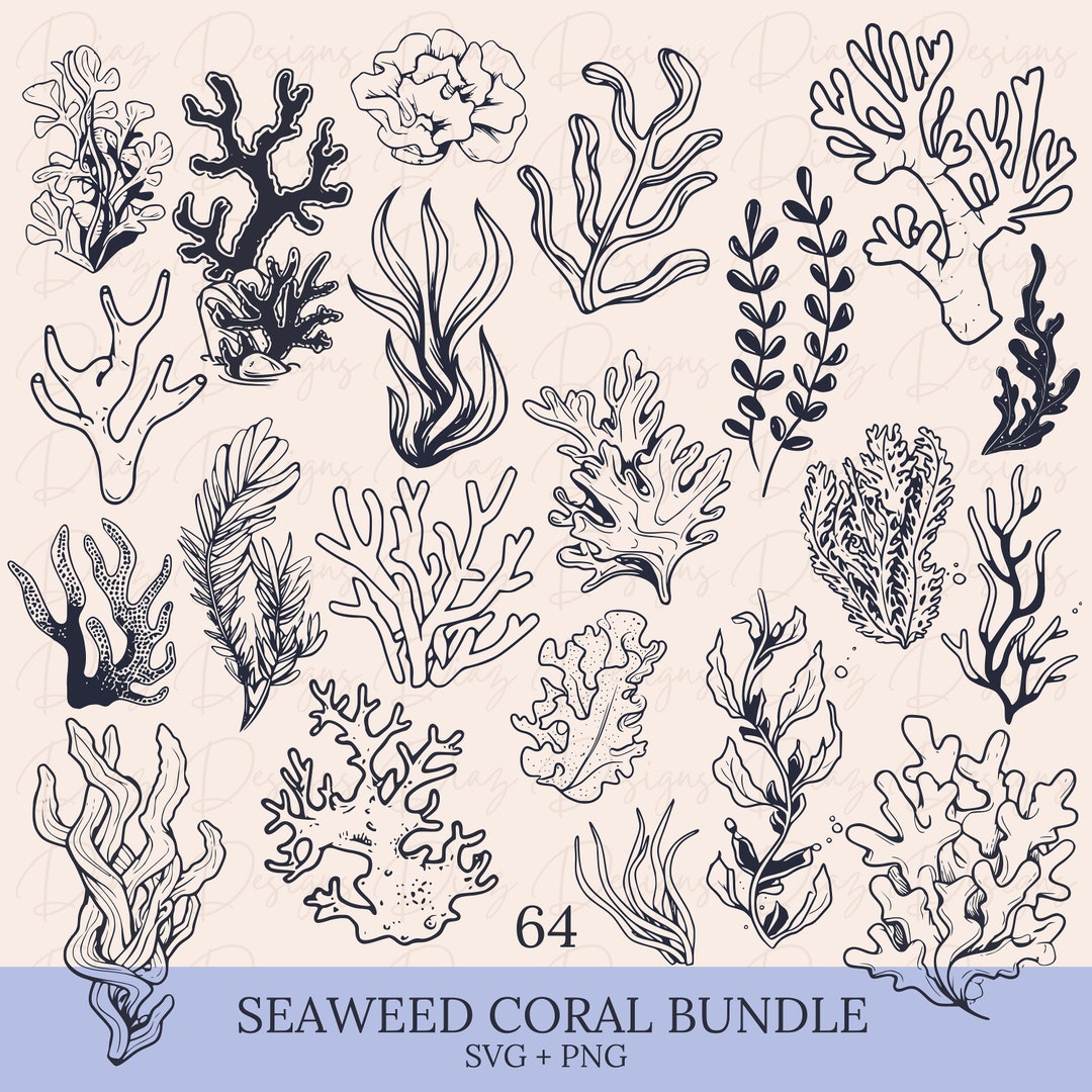 Seaweed Bundle Svg, Coral Png, Sea Plants Svg, Sea Life Svg Bundle ...