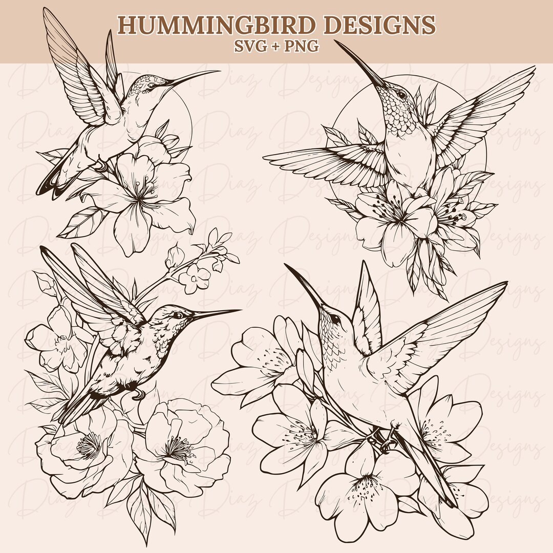 Hummingbird Svg, Hummingbird Cut File, Bird Svg File, Hummingbird ...
