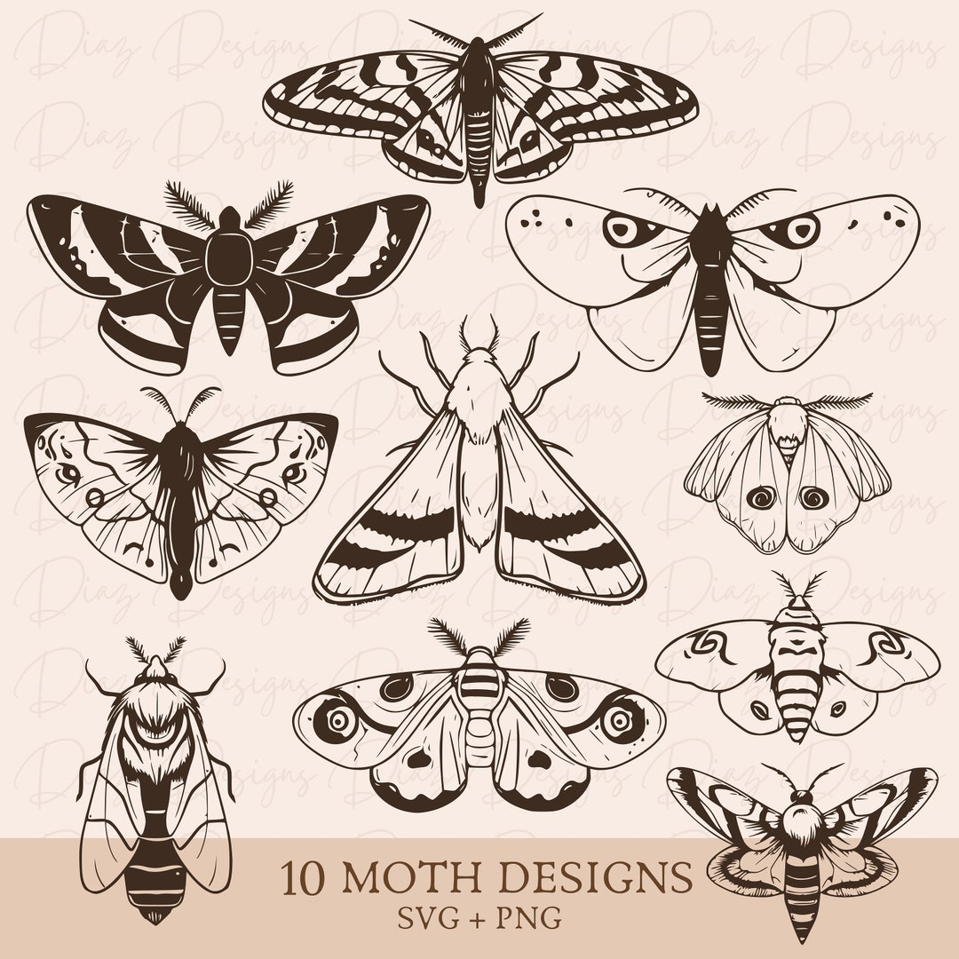 Moth Svg Bundle, Celestial Moth Svg, Mystical Moth Svg, Witch Moth Svg ...