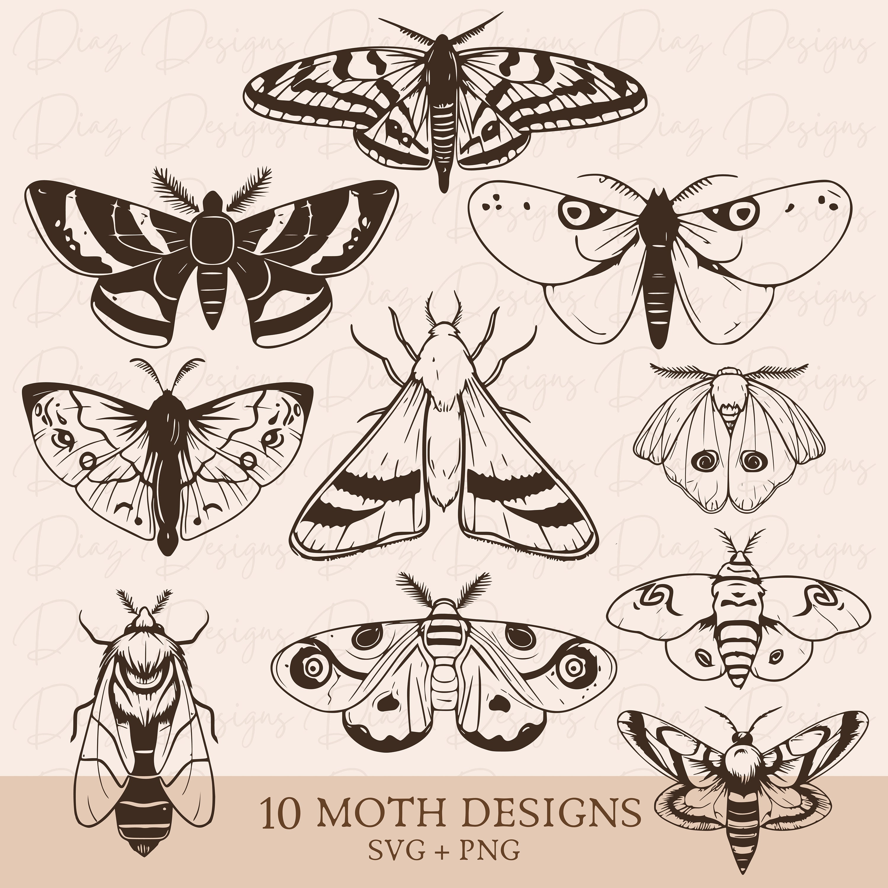 Moth Svg Bundle, Celestial Moth Svg, Mystical Moth Svg, Witch Moth Svg ...