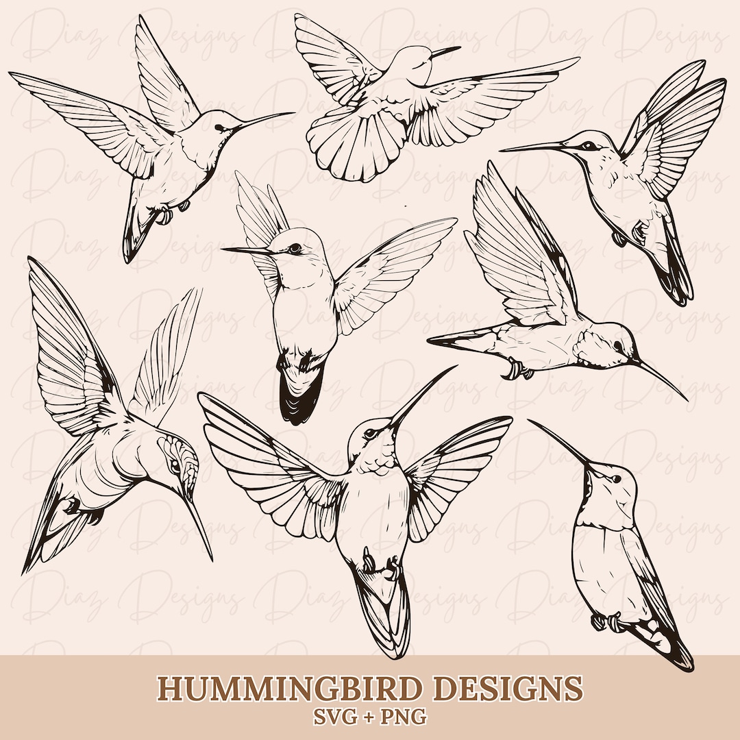 Hummingbird Svg, Hummingbird Cut File, Bird Svg File, Hummingbird Png ...