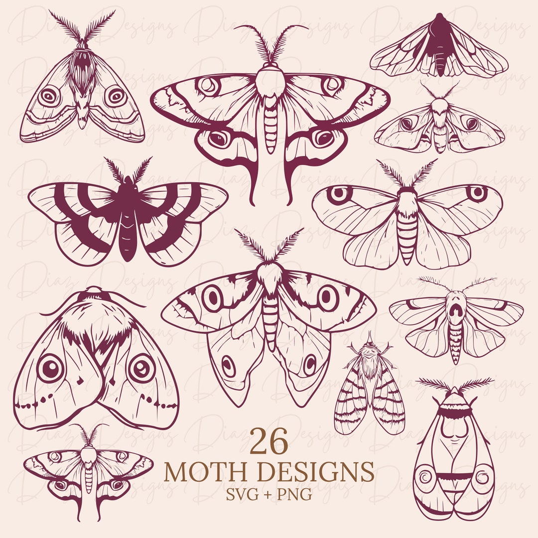 Moth Svg Bundle, Witchcraft Svg, Witch Moth Svg, Boho Moth Svg ...