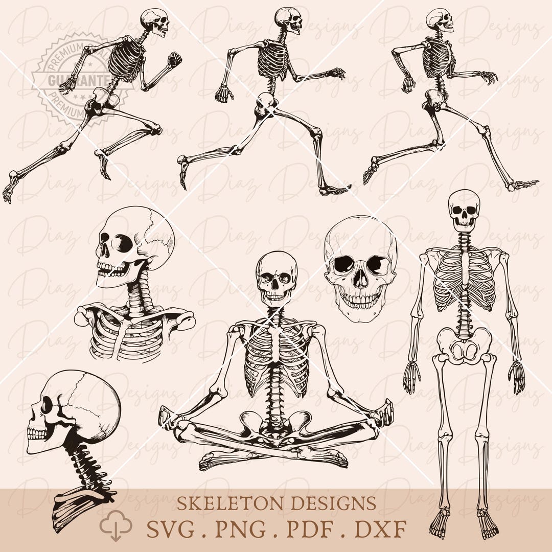 Skeleton Bundle Svg, Halloween Skeleton Clipart, Bones Svg, Halloween ...