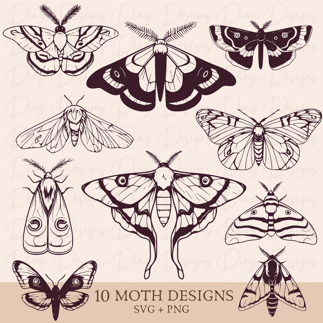 Moth Svg Bundle, Celestial Moth Svg, Mystical Moth Svg, Witch Moth Svg ...