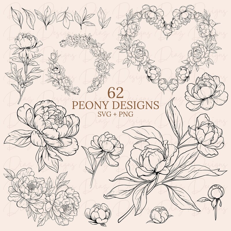 Peony Line Drawing Bouquet - Etsy