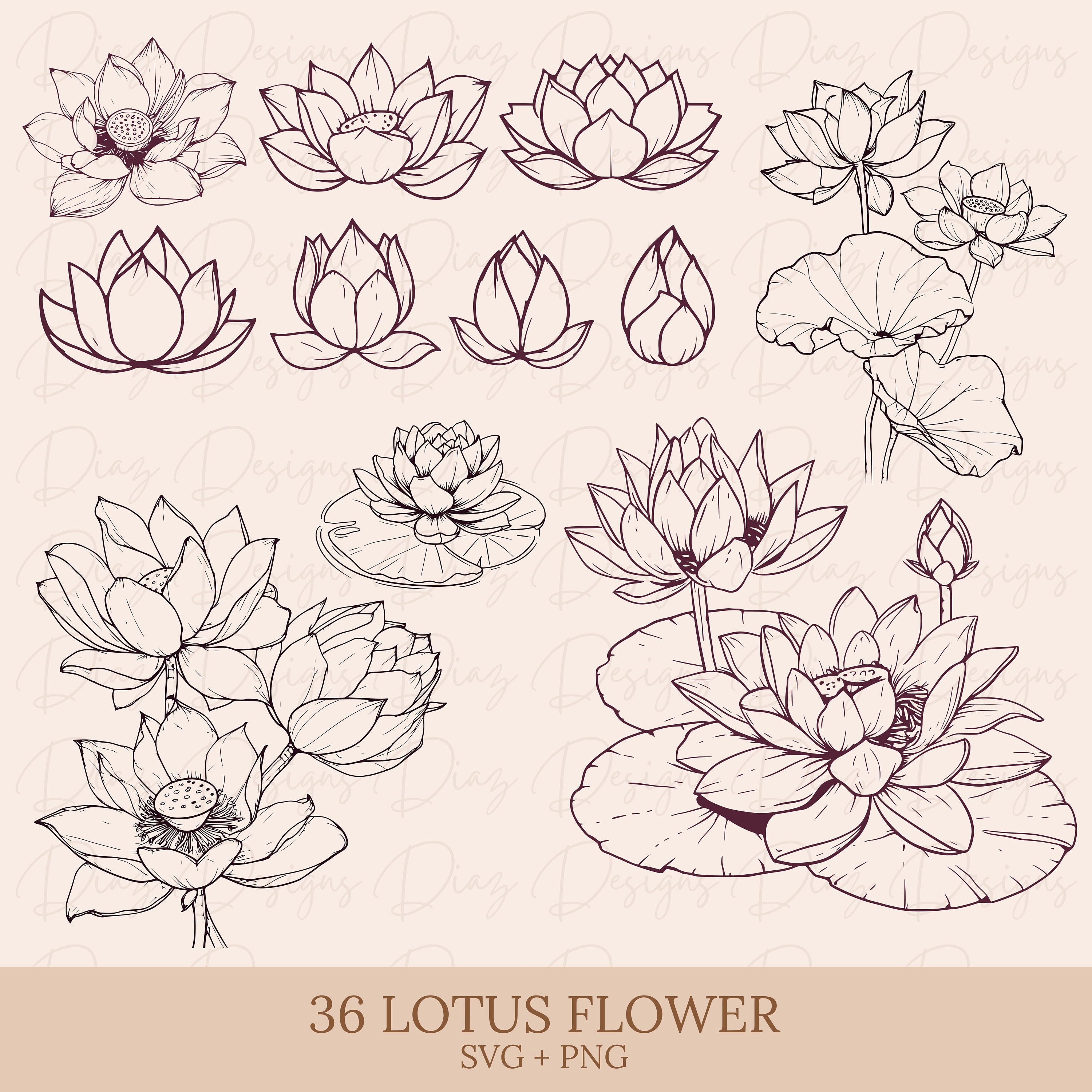 Lotus Flower Bundle Svg, Lotus Flower Clipart, Lotus Svg Cricut, Lotus ...