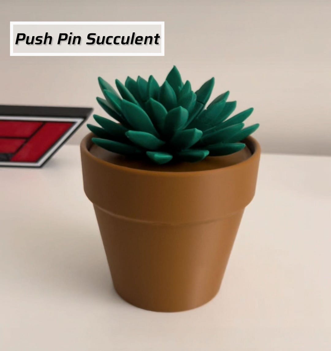 3D Printed Push Pin Succulent Plant House Plants Alive Decor Office ...