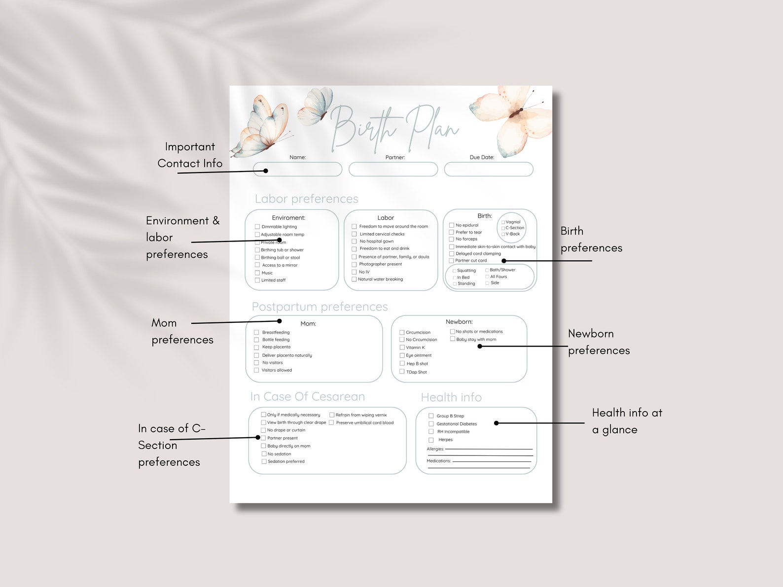 Editable Birth Plan Template, Pregnancy Planner, Labor and Delivery ...
