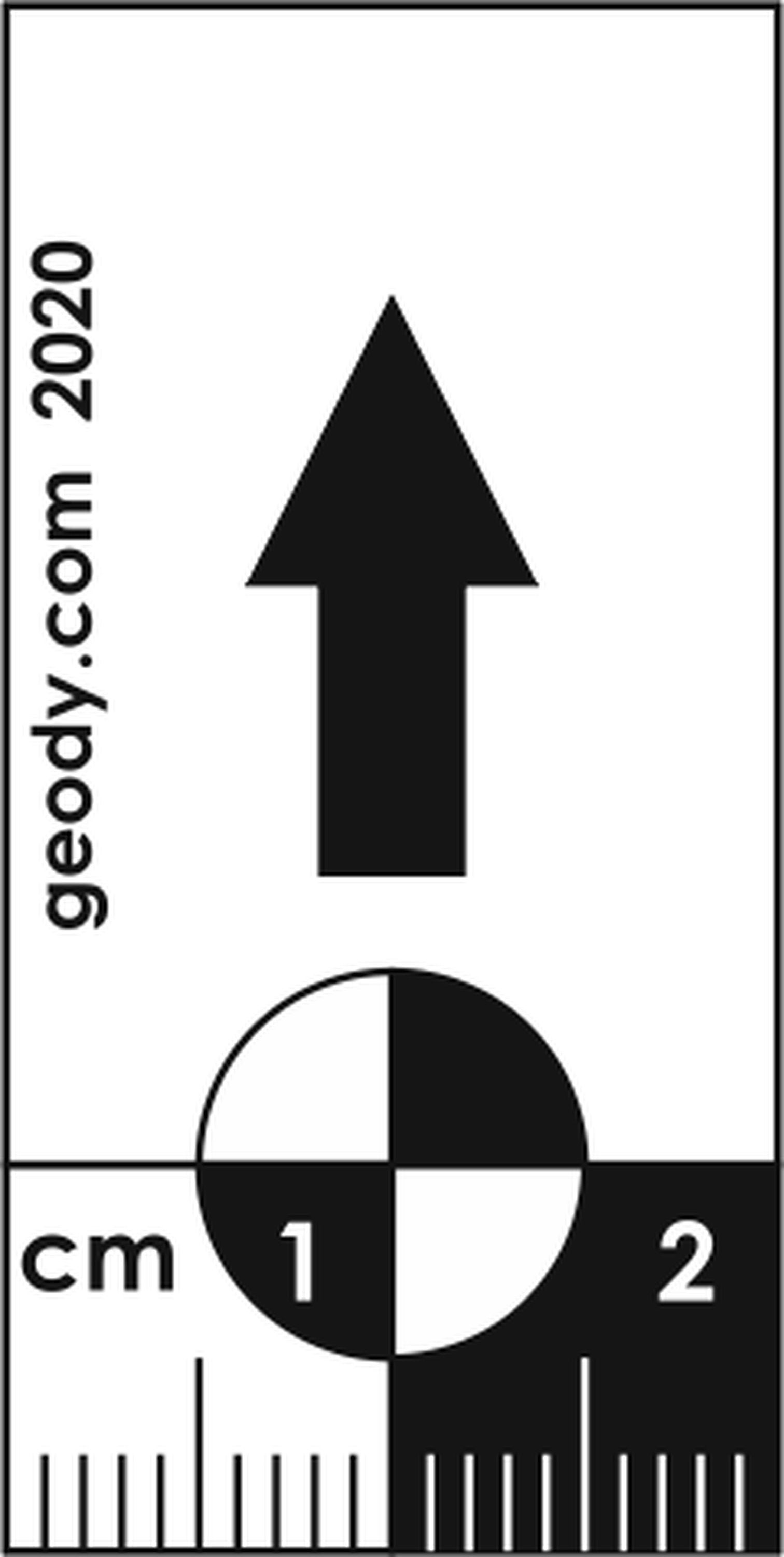 Scales, Rulers, and Markers for Forensic Photography of Crime Scenes ...