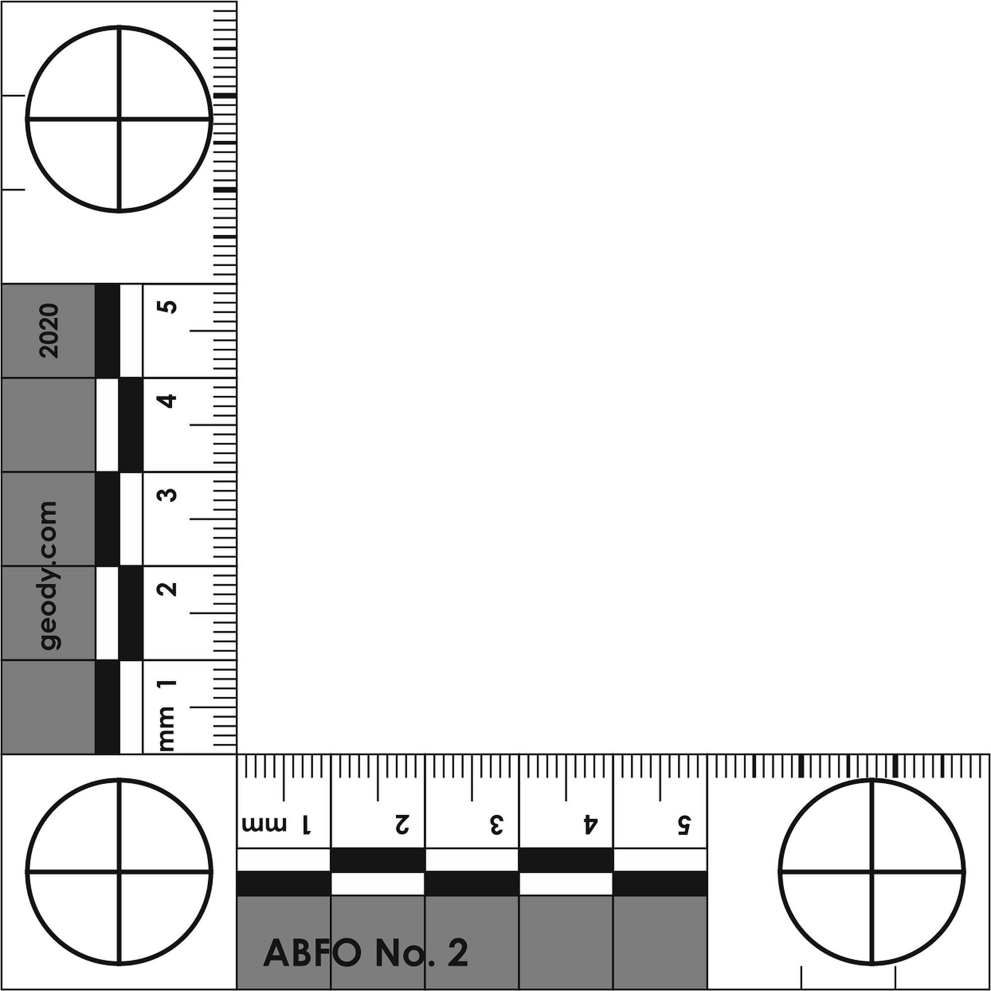 Scales, Rulers, and Markers for Forensic Photography of Crime Scenes ...