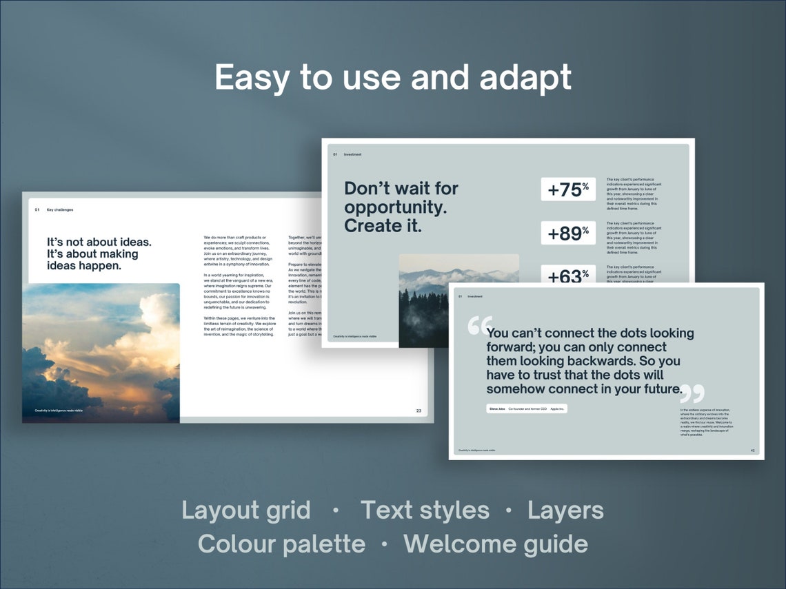 Indesign Pitch Presentation Template | SILICON | Professional ...