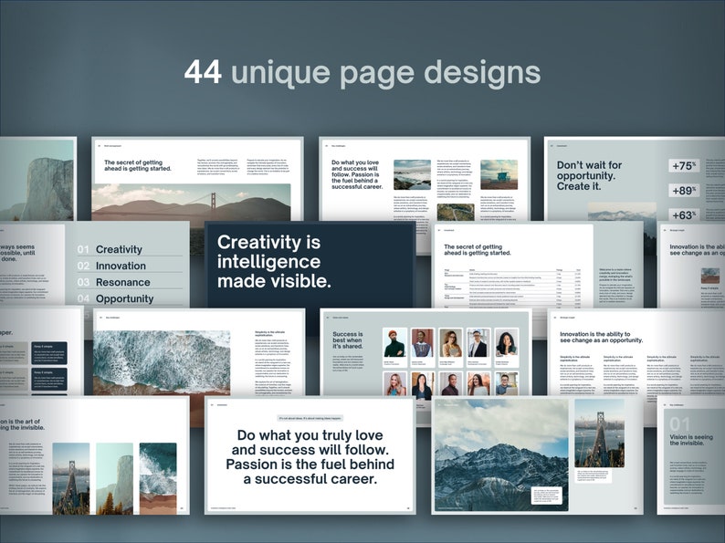 Indesign Pitch Presentation Template | SILICON | Professional ...