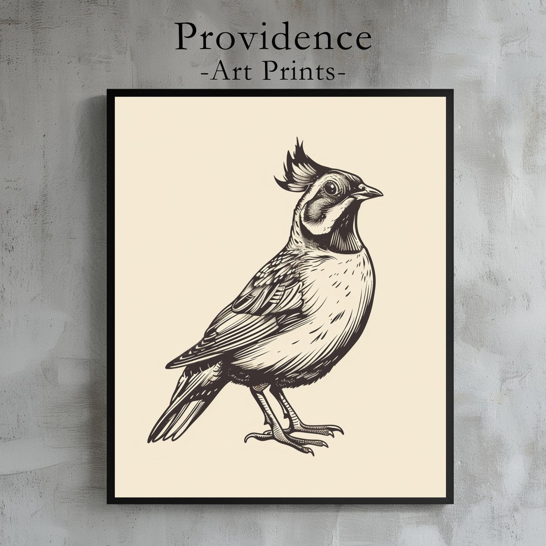 Vintage Quail Sketch Neutral Background Rustic Summer Decor Ink Sketch ...