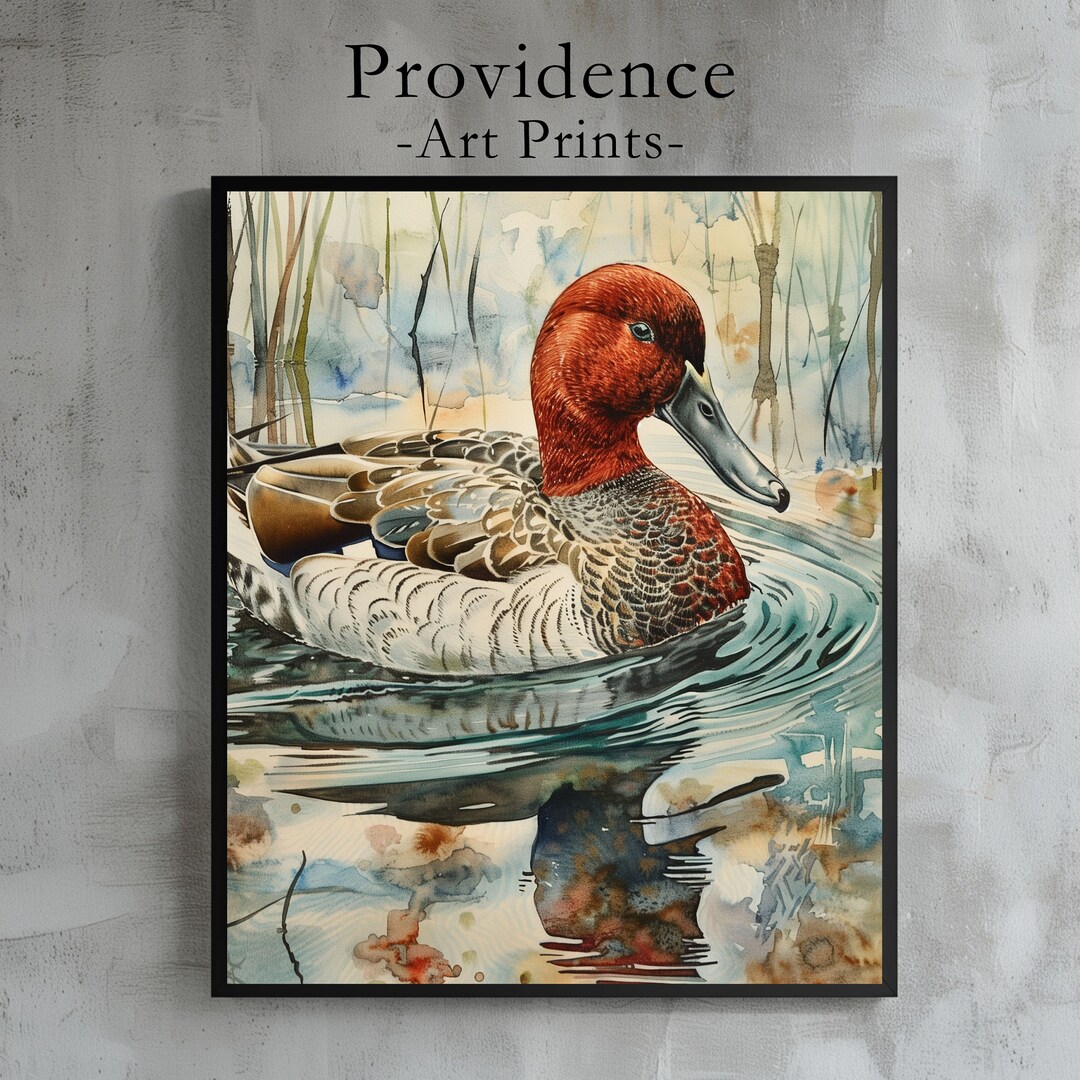Duck in Pond Summer Landscape Cavasback Duck Birds Lakehouse Decor Art ...