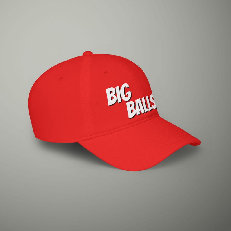 Parody Cap, Big Balls Trump Doge Supporter Hat, Low Profile Baseball ...