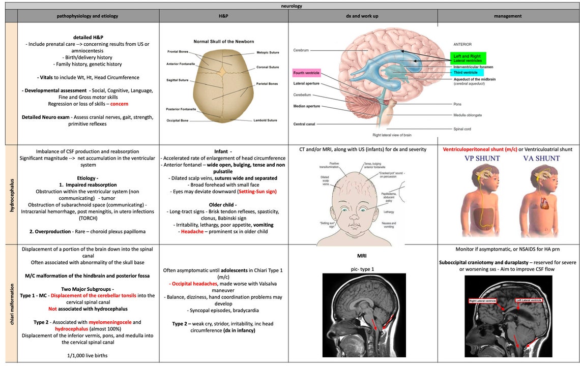 Pediatric Study Guide: PA School Didactic EOR & PANCE Review ...