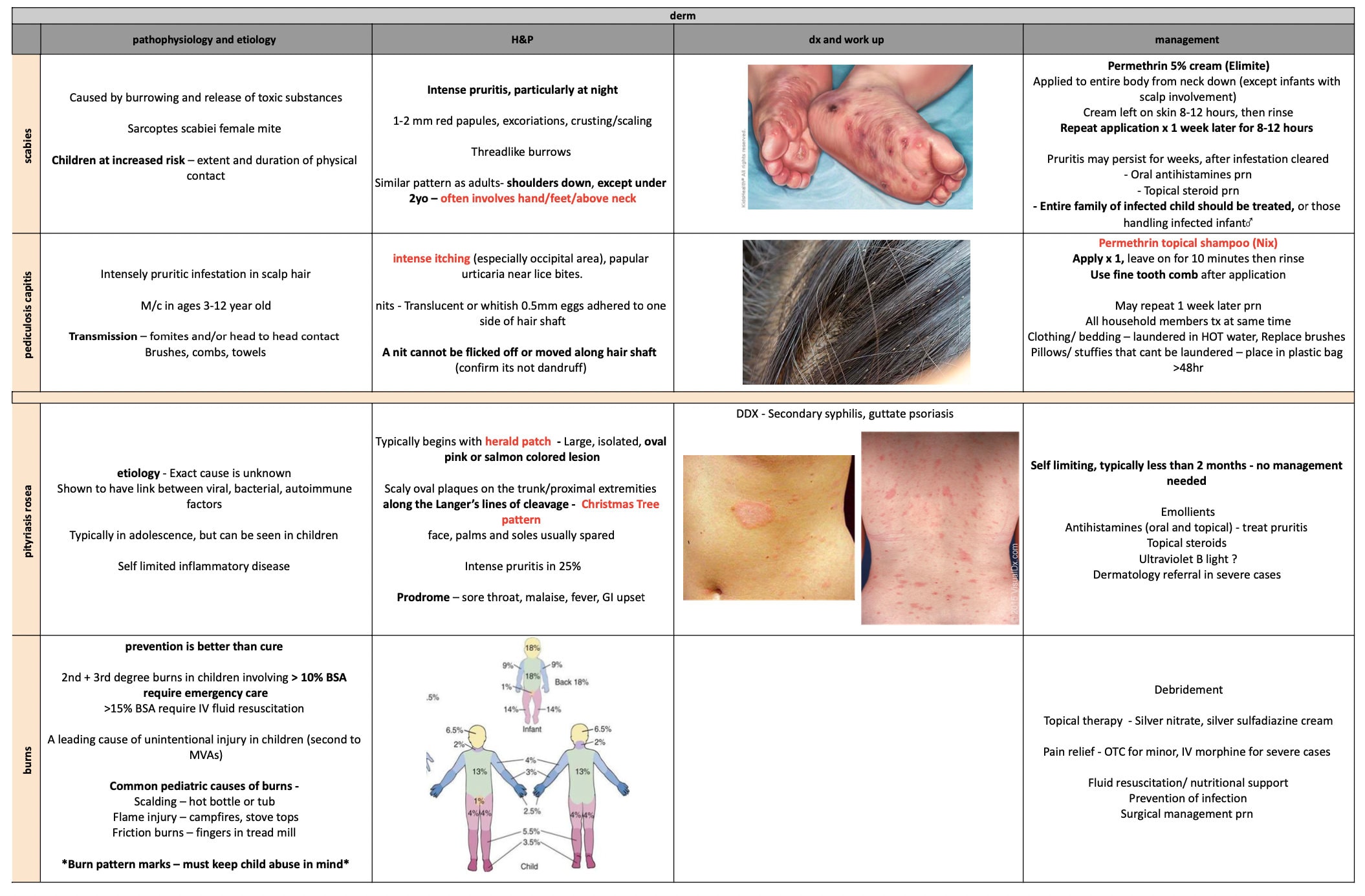 Pediatric Study Guide: PA School Didactic EOR & PANCE Review ...