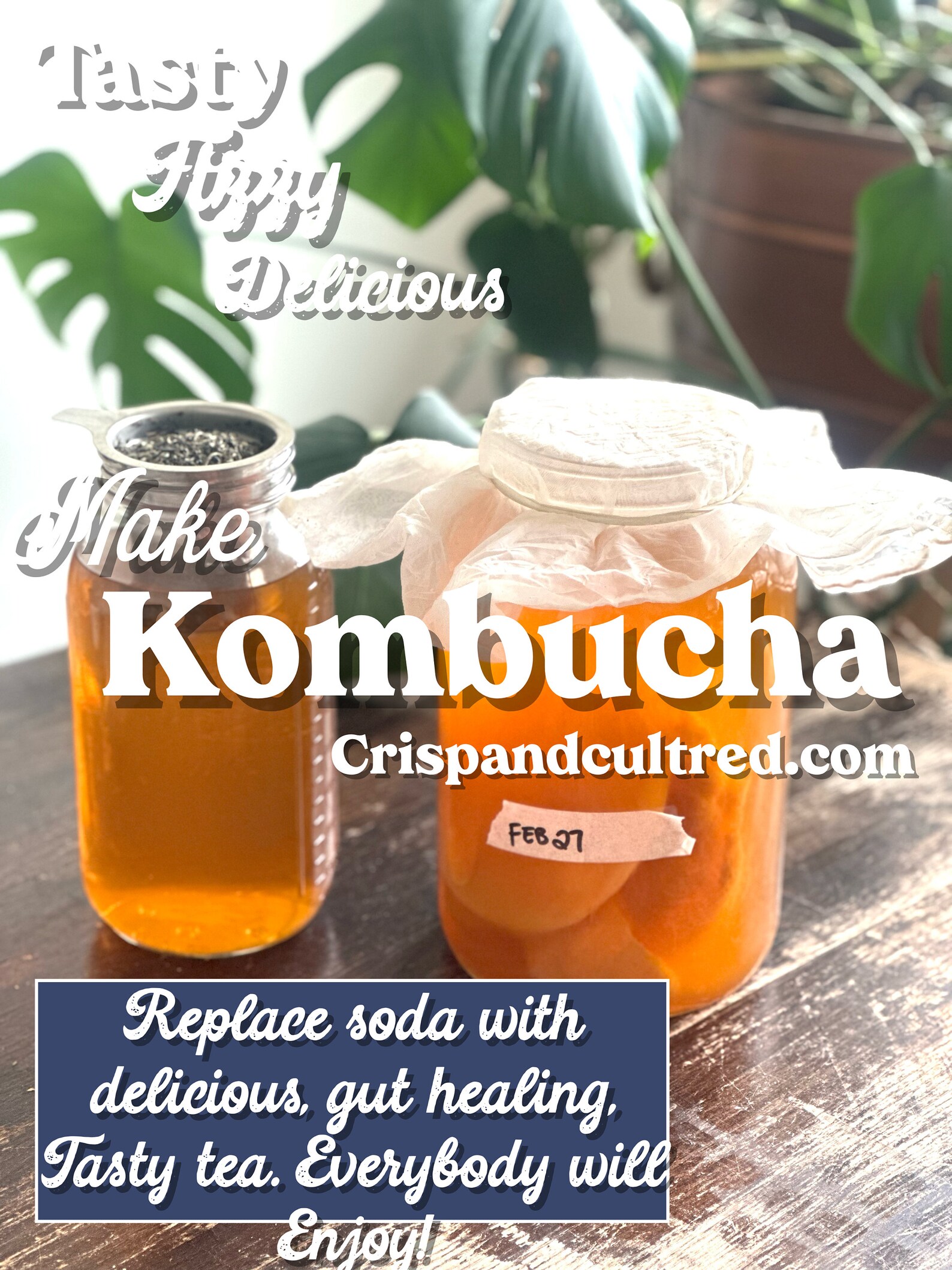 Kombucha Class - Etsy