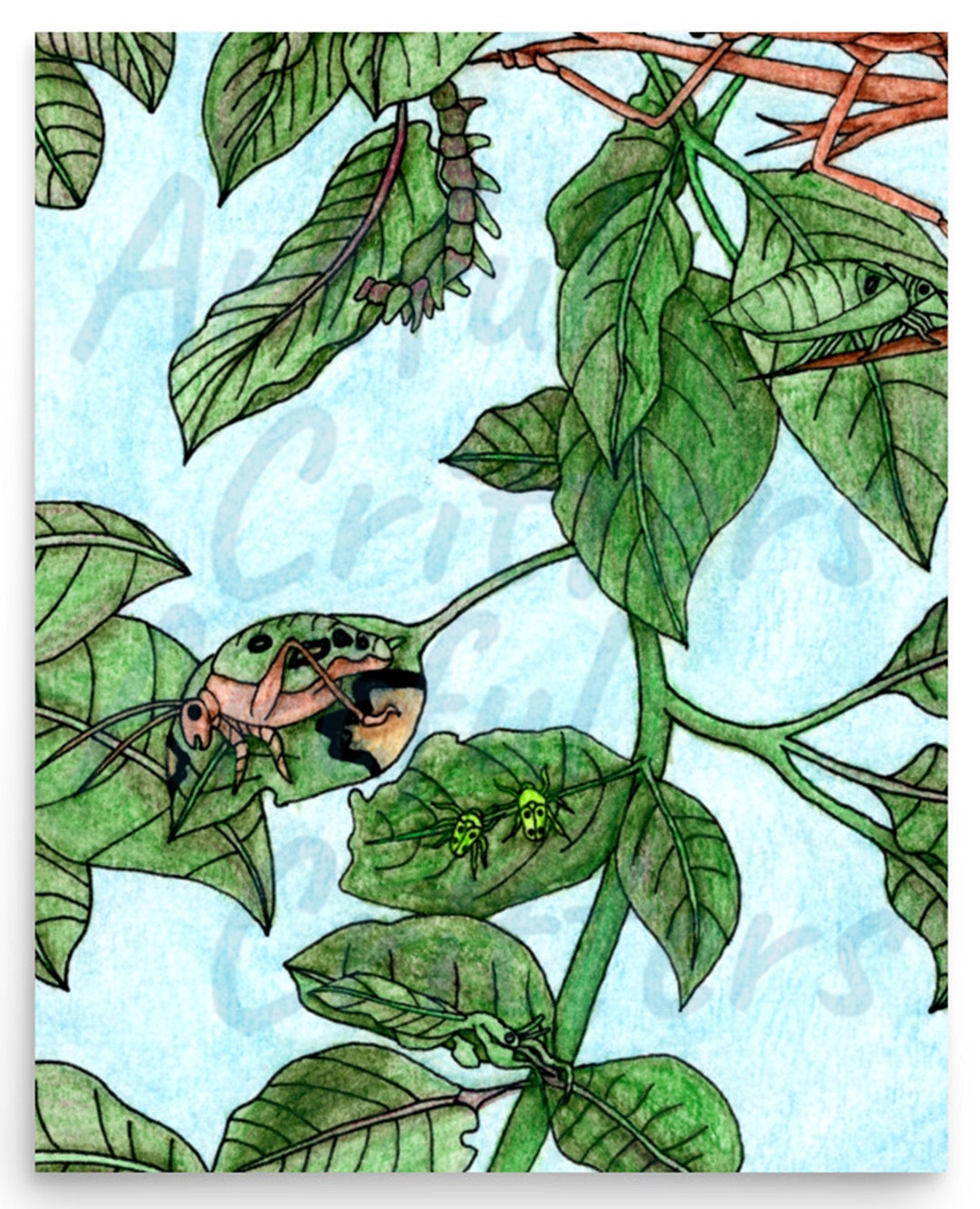 Left Hidden Insect Triptych Original Print, Nature Bug Picture, Kid ...