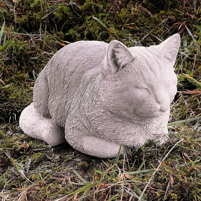 Large Wild Black Cats - Etsy