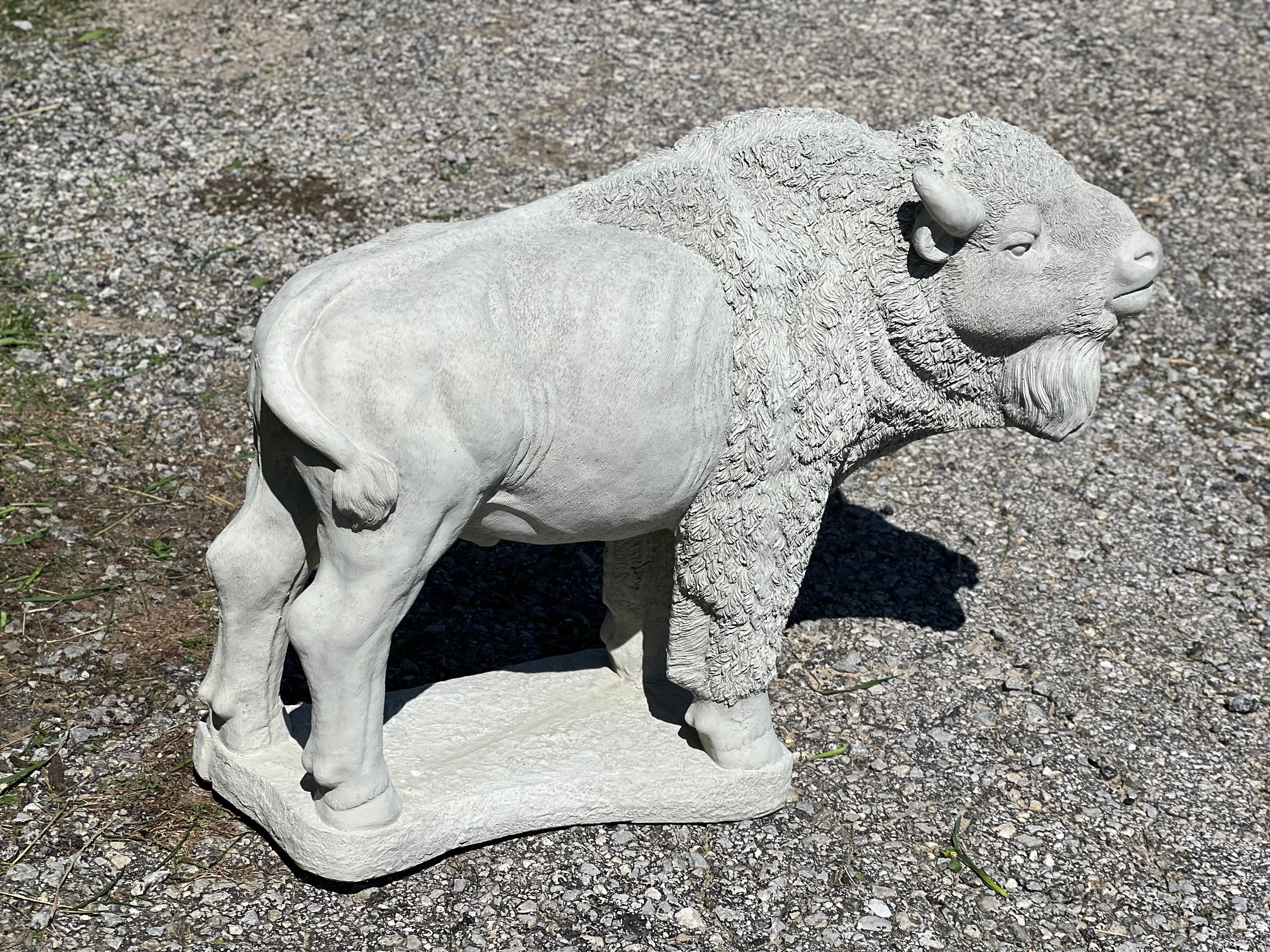Massive Buffalo Concrete Statue 22" Stone American White Bison Garden ...