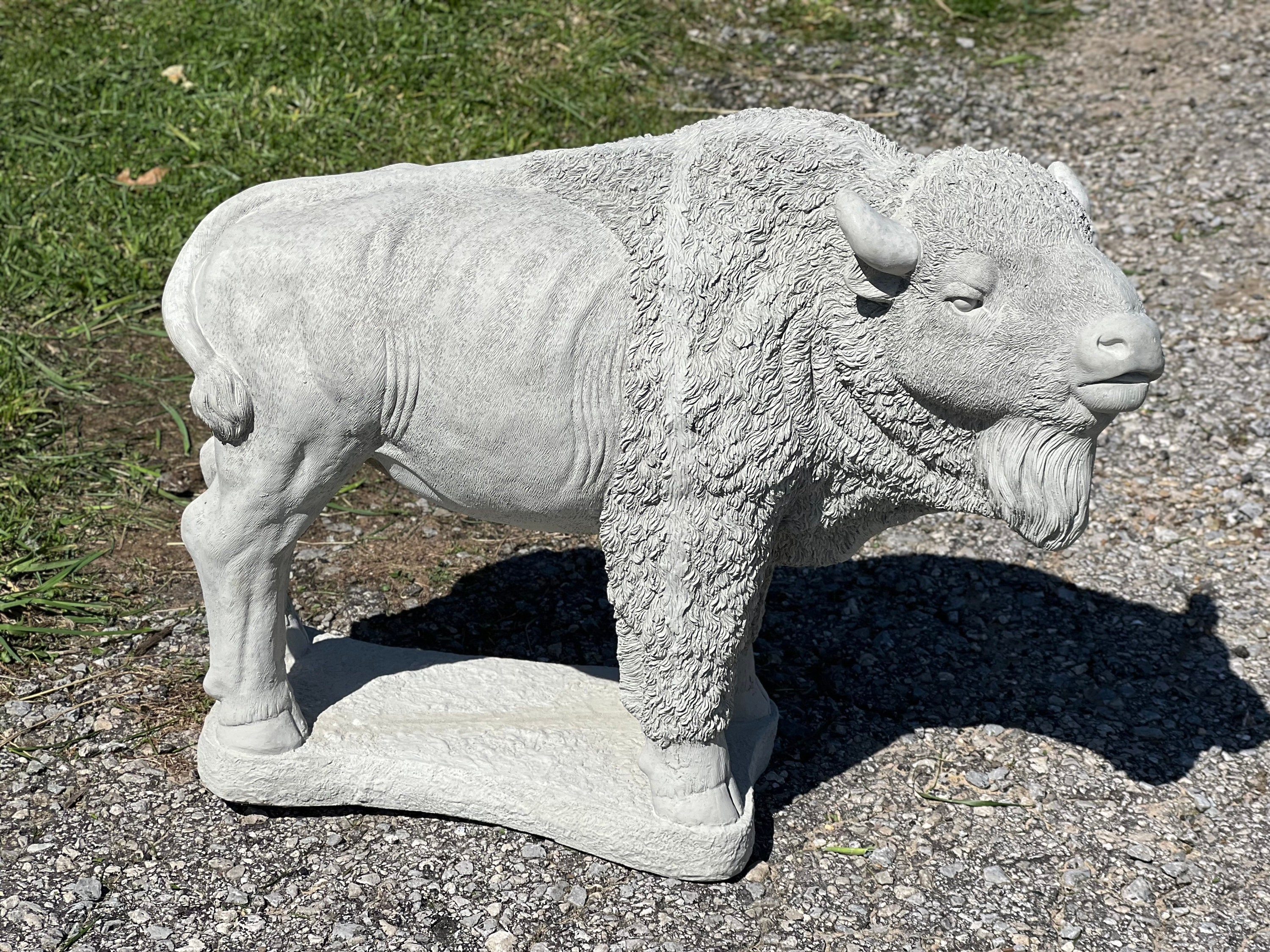 Massive Buffalo Concrete Statue 22" Stone American White Bison Garden ...